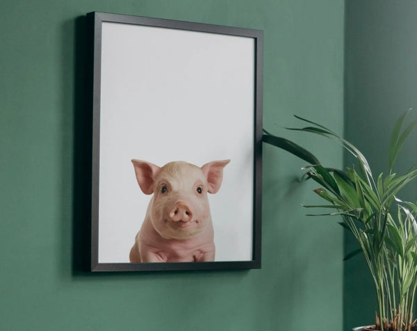 Affiche bébé cochon - Porcelet - FLTM