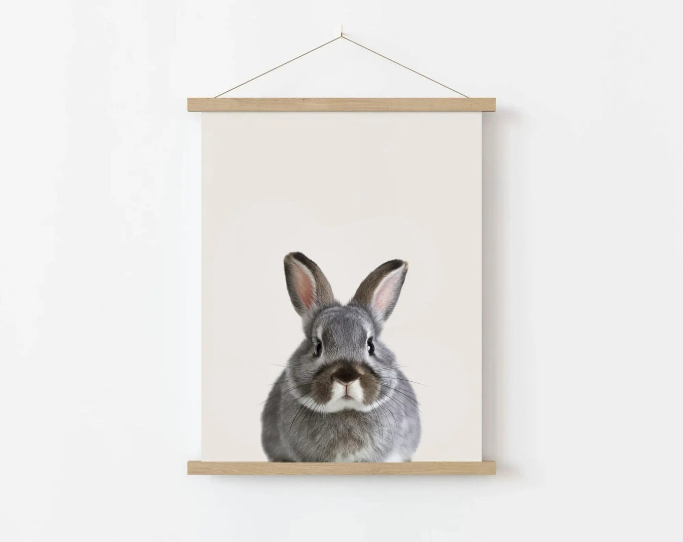 Affiche bébé lapin - Lapereau - FLTM