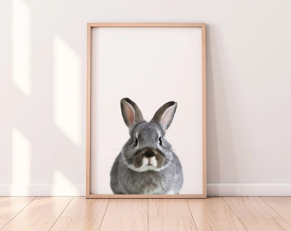 Affiche bébé lapin - Lapereau - FLTM