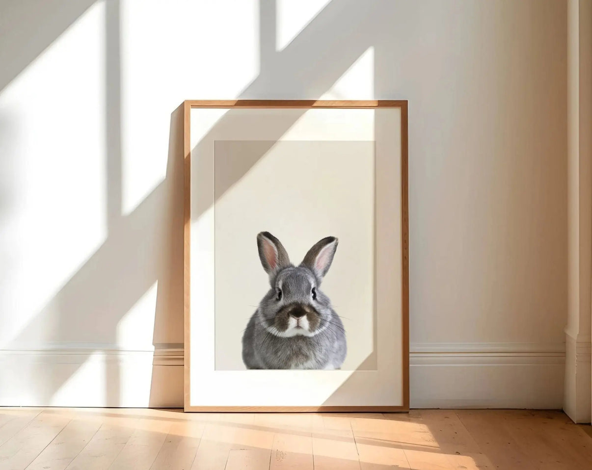 Affiche bébé lapin - Lapereau - FLTM