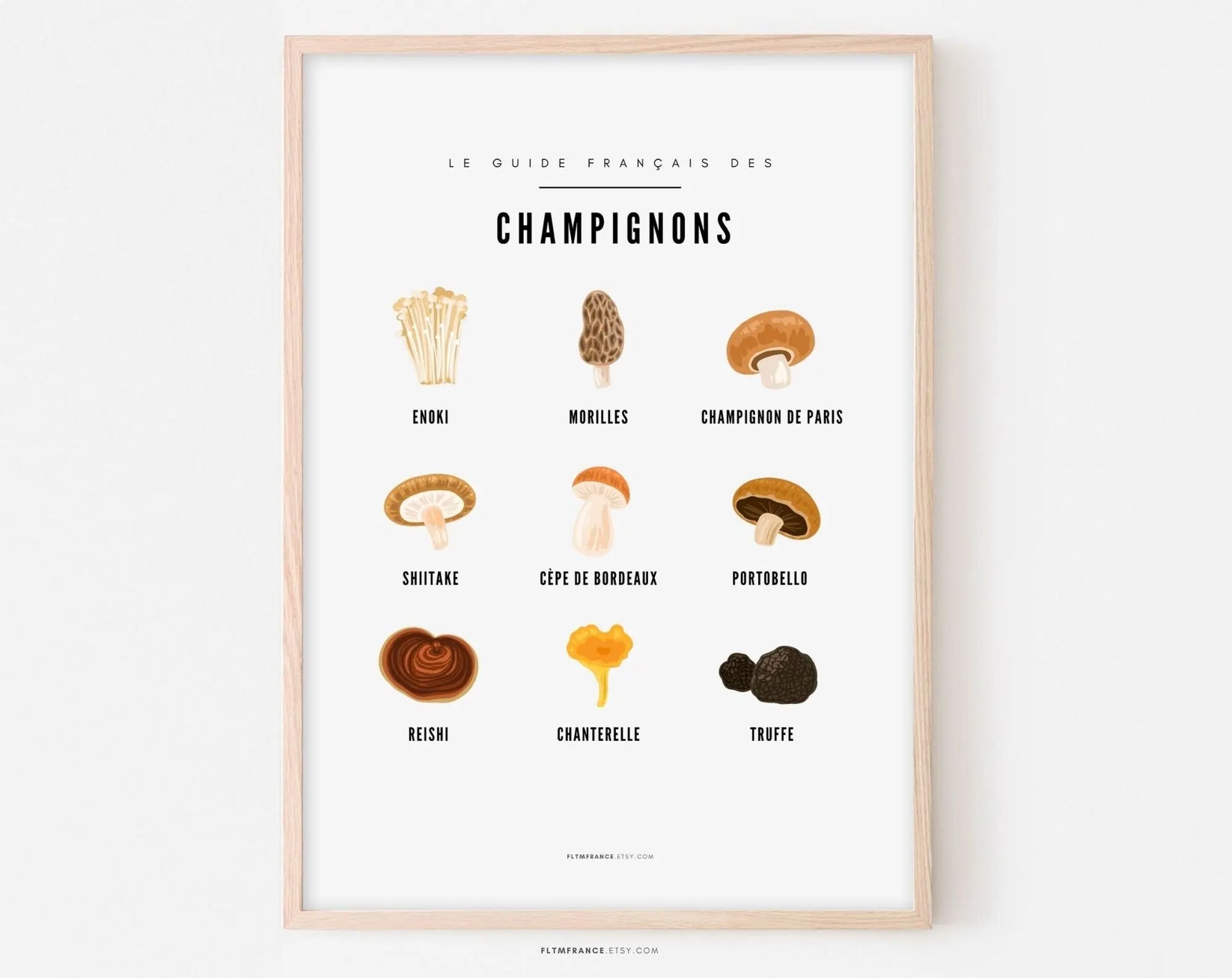Affiche Champignon - Guide des différents champignons - FLTM